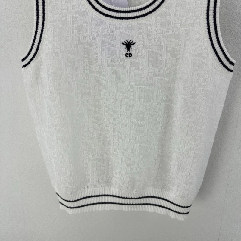 Mirror quality Christian Dior Vest