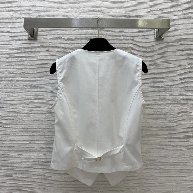 Mirror quality Christian Dior Vest