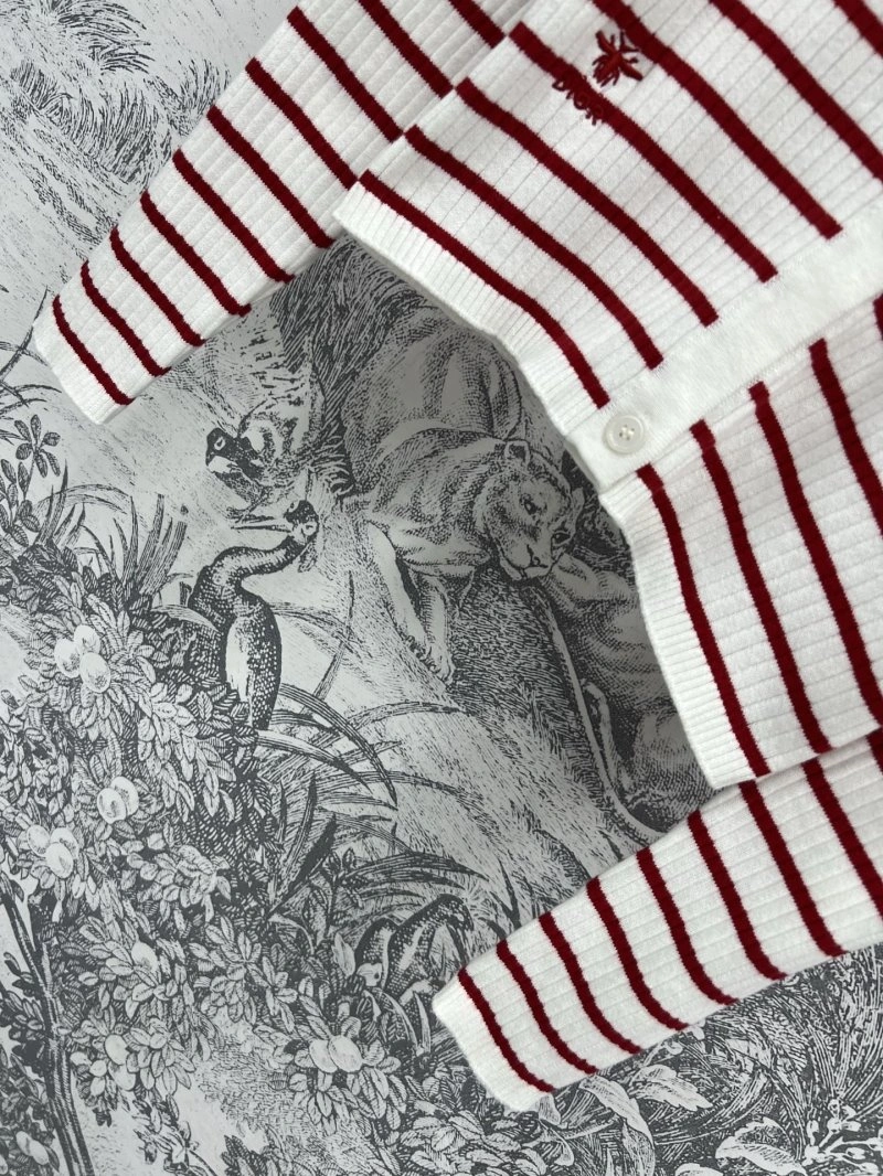Precise copy Christian Dior Vest