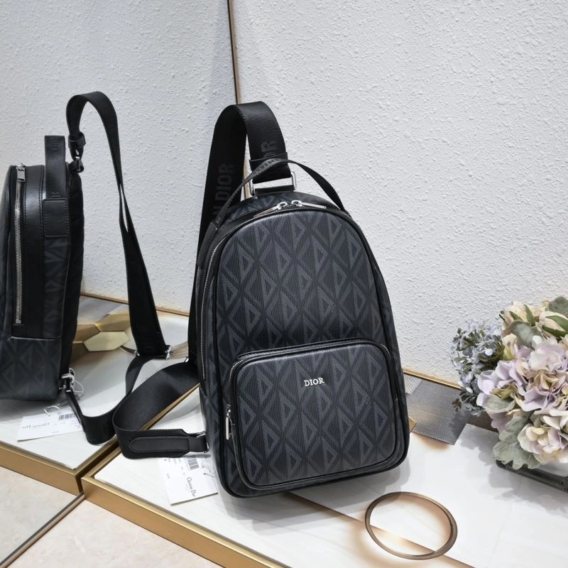 Christian Dior Waist Chest Packs