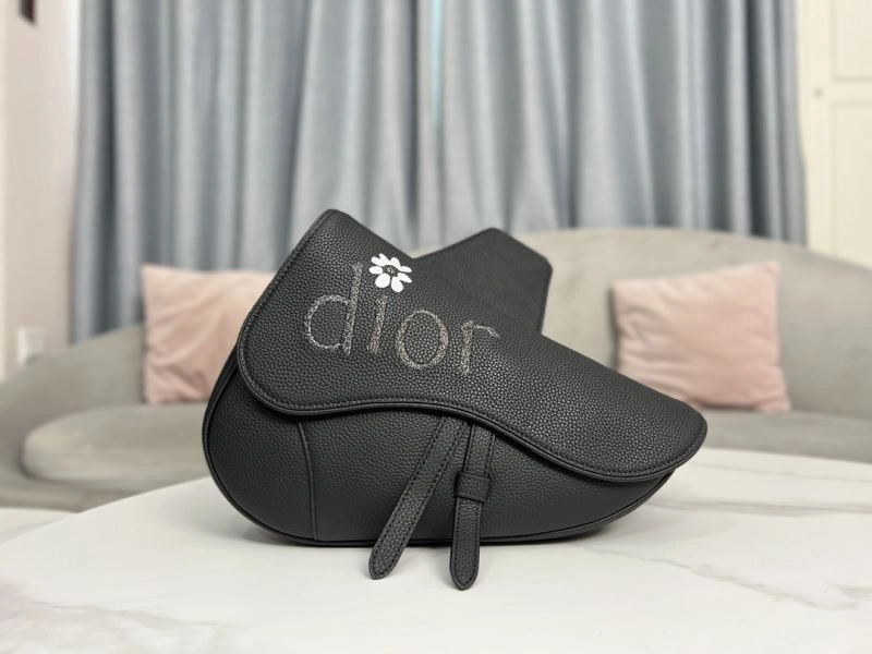 Brand-original Christian Dior Waist Chest Packs