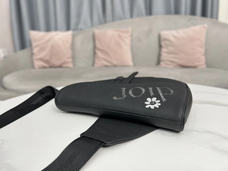 Brand-original Christian Dior Waist Chest Packs