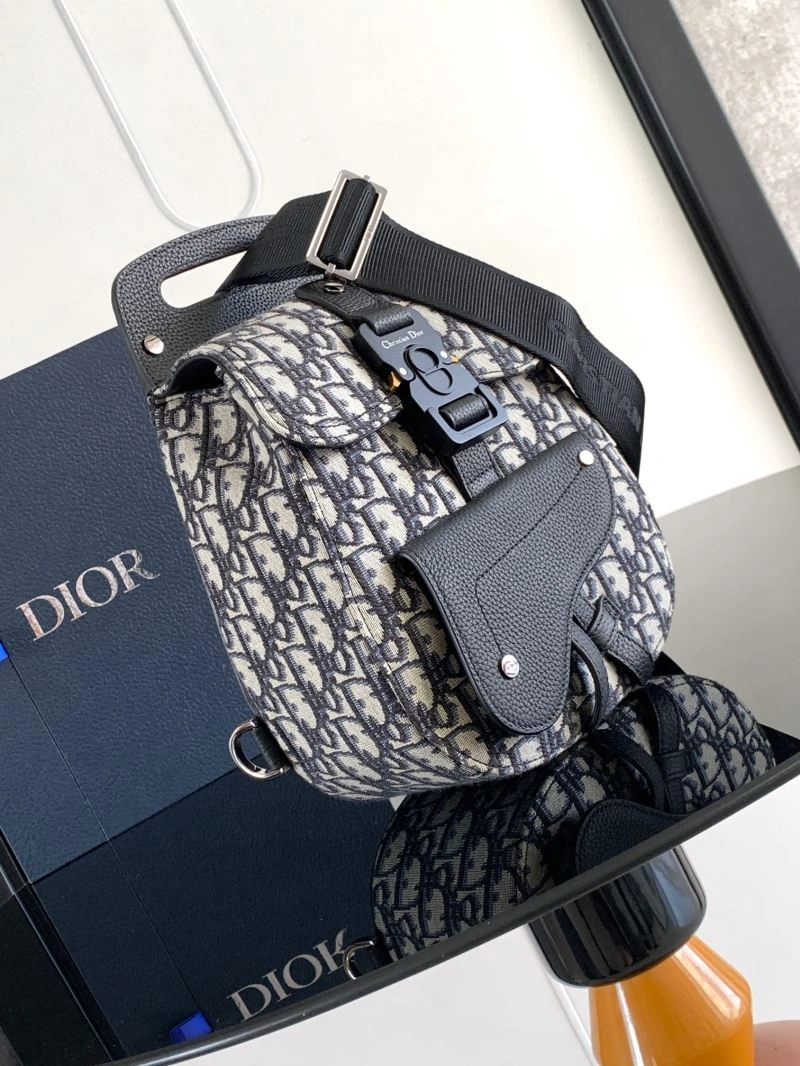 Low-cost Christian Dior Waist Chest Packs