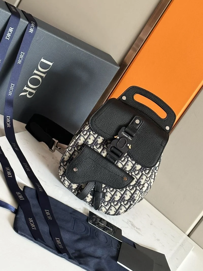 Christian Dior Waist Chest Packs