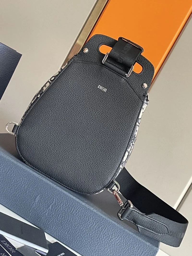 Economical Christian Dior Waist Chest Packs