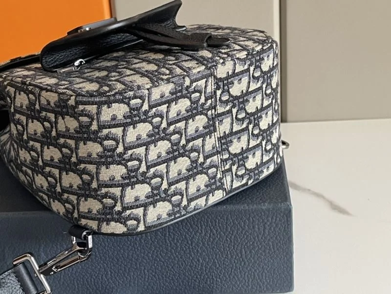 Economical Christian Dior Waist Chest Packs