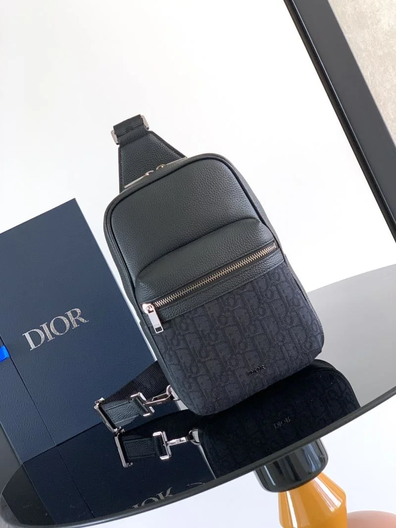 Christian Dior Waist Chest Packs