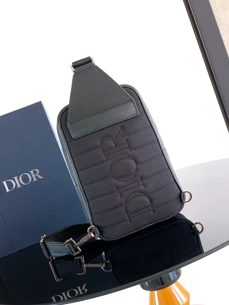 Indistinguishable Christian Dior Waist Chest Packs