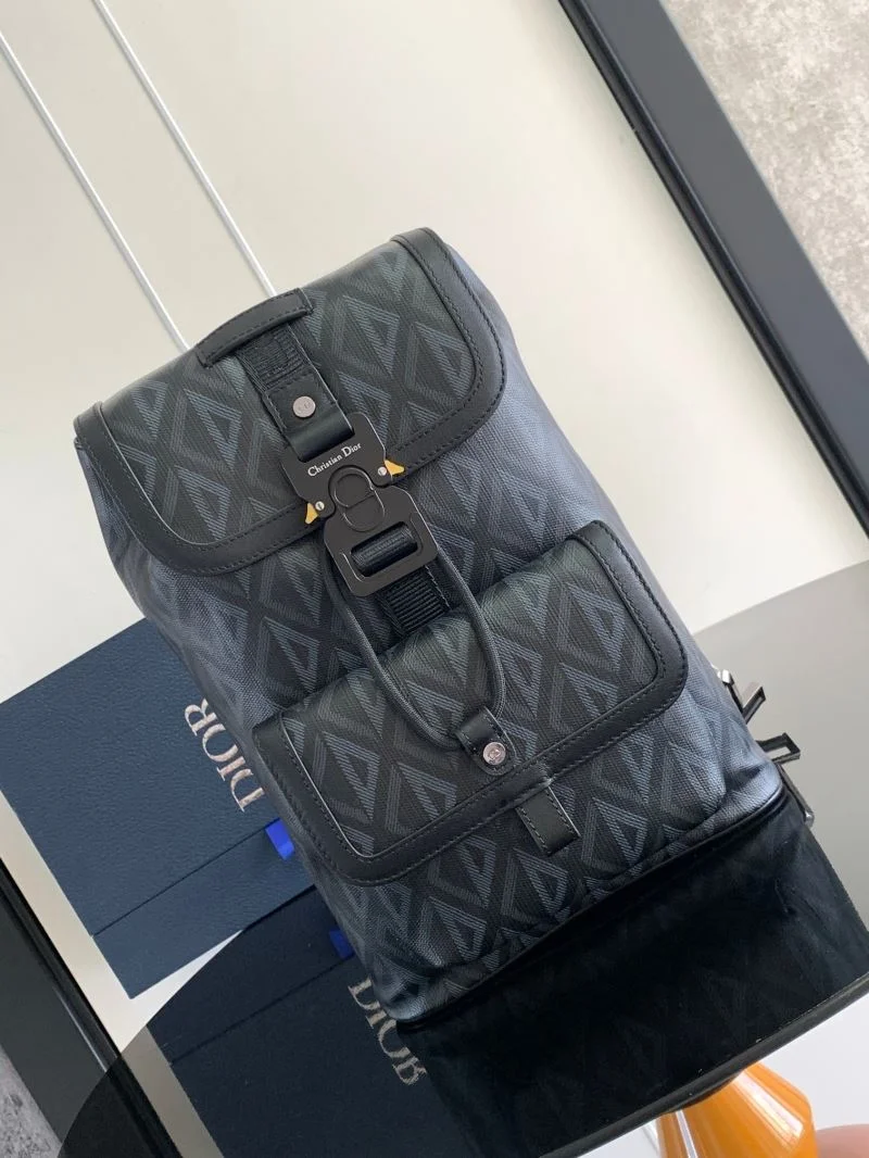 Christian Dior Waist Chest Packs