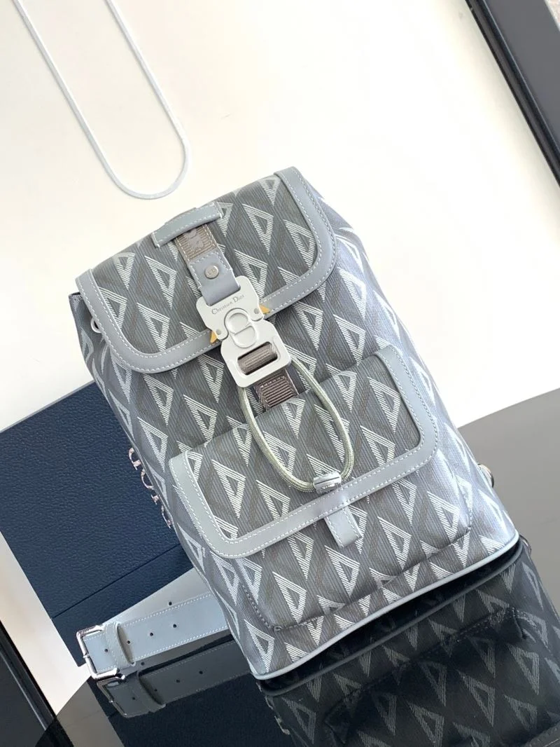 Christian Dior Waist Chest Packs