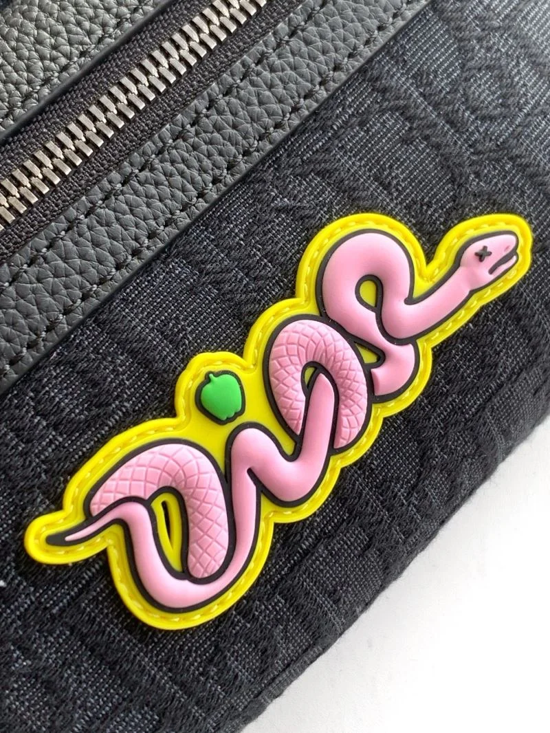 Legit Christian Dior Waist Chest Packs