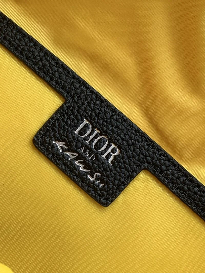 Legit Christian Dior Waist Chest Packs