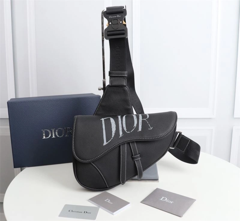 Christian Dior Waist Chest Packs