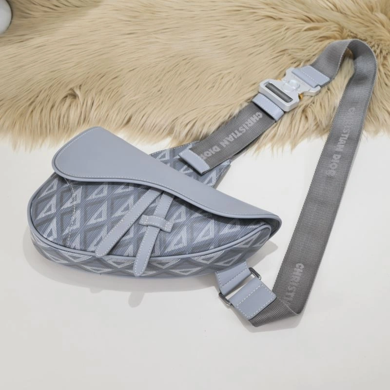 Mirror quality Christian Dior Waist Chest Packs