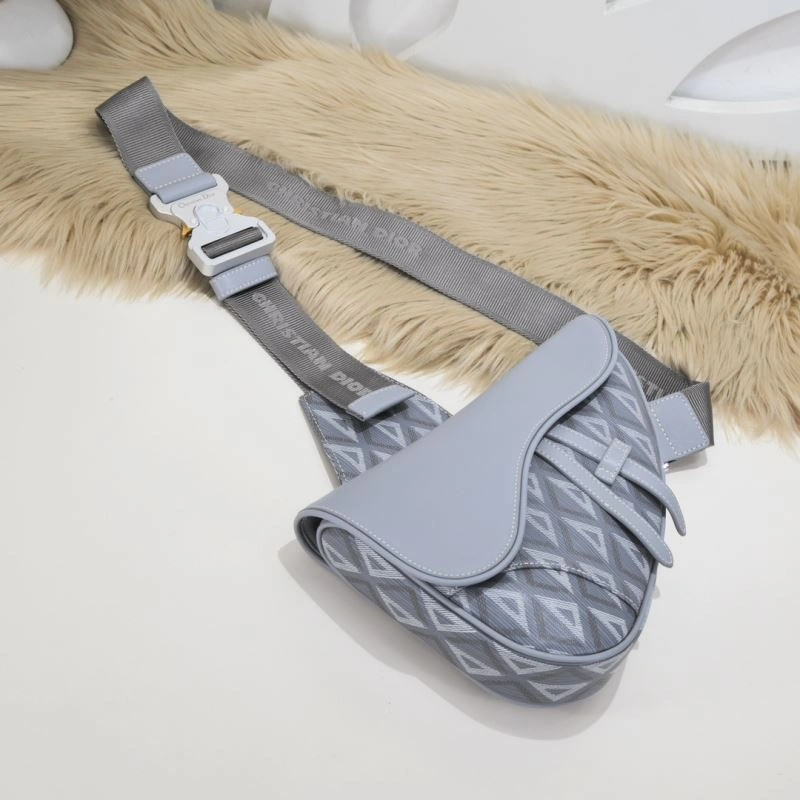 Mirror quality Christian Dior Waist Chest Packs