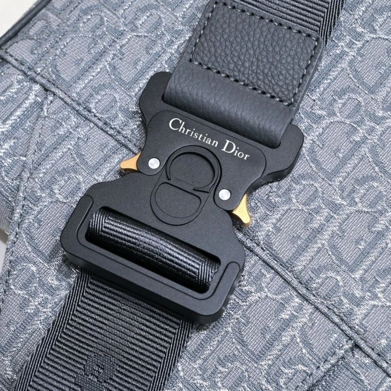 Indistinguishable Christian Dior Waist Chest Packs