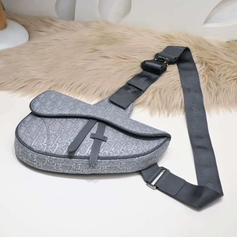 Indistinguishable Christian Dior Waist Chest Packs
