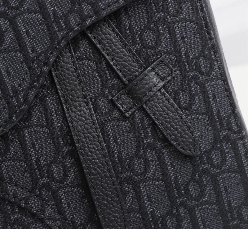 Indistinguishable Christian Dior Waist Chest Packs