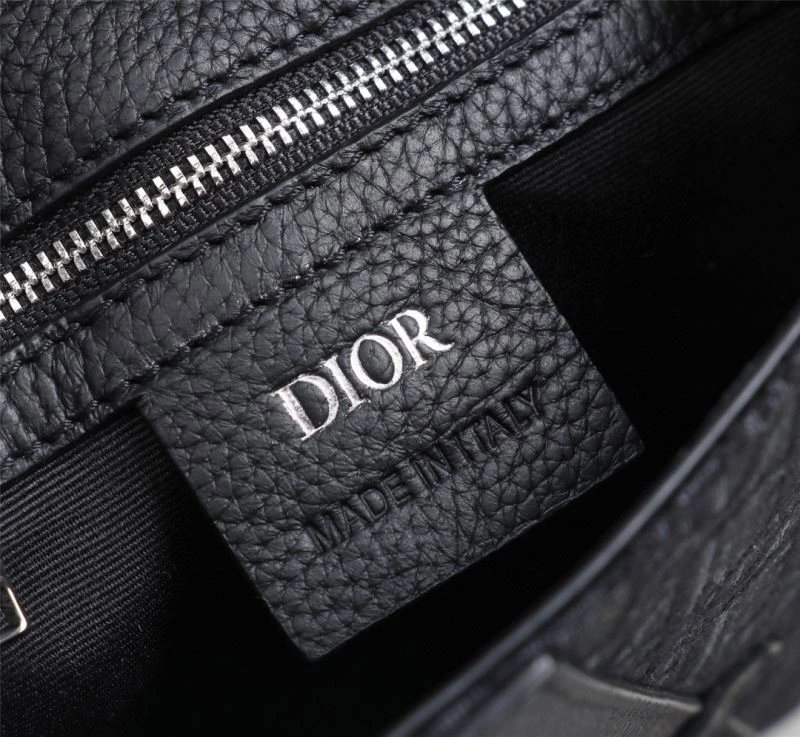 Indistinguishable Christian Dior Waist Chest Packs