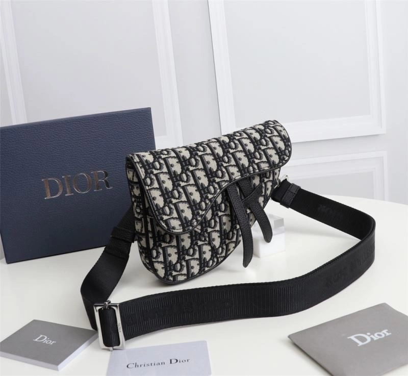 Indistinguishable Christian Dior Waist Chest Packs