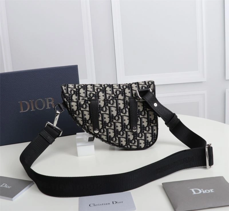 Indistinguishable Christian Dior Waist Chest Packs