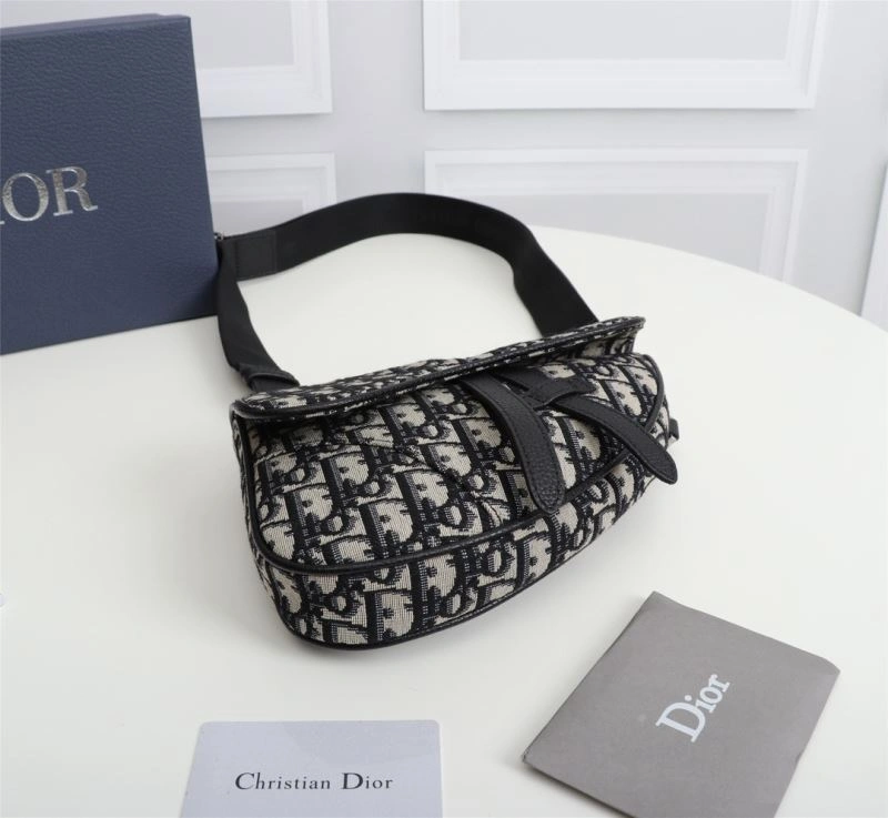 Indistinguishable Christian Dior Waist Chest Packs