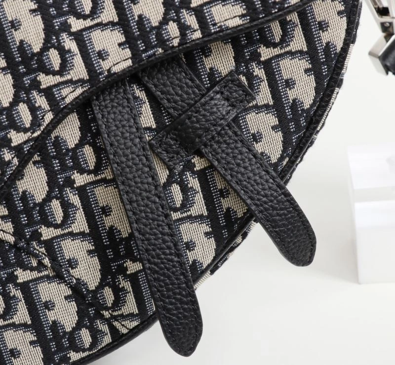 Indistinguishable Christian Dior Waist Chest Packs