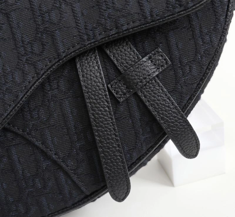 Budget-friendly Christian Dior Waist Chest Packs