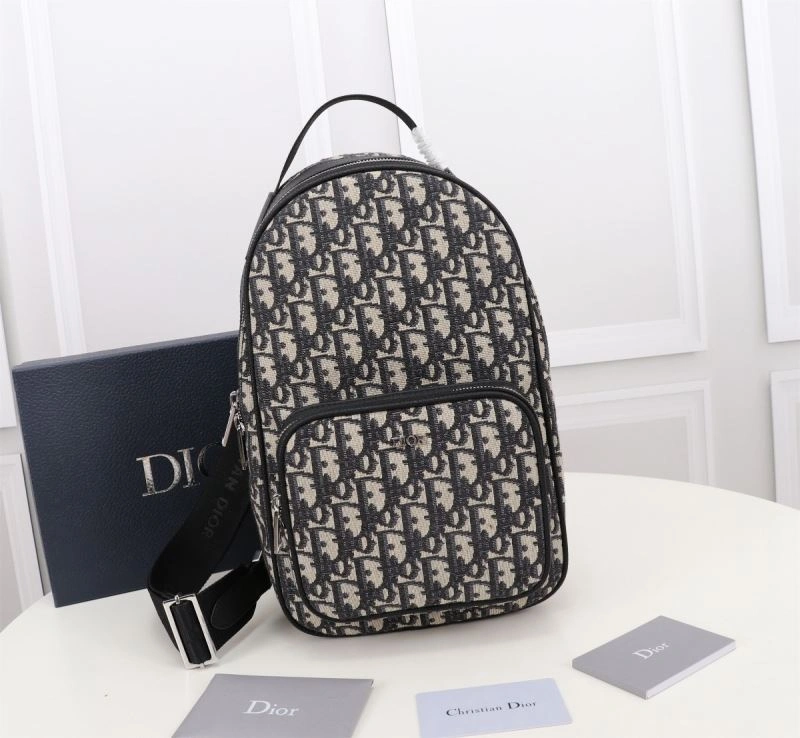 Christian Dior Waist Chest Packs