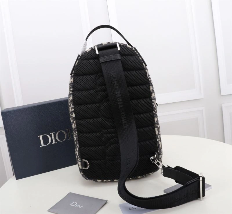 Top match Christian Dior Waist Chest Packs