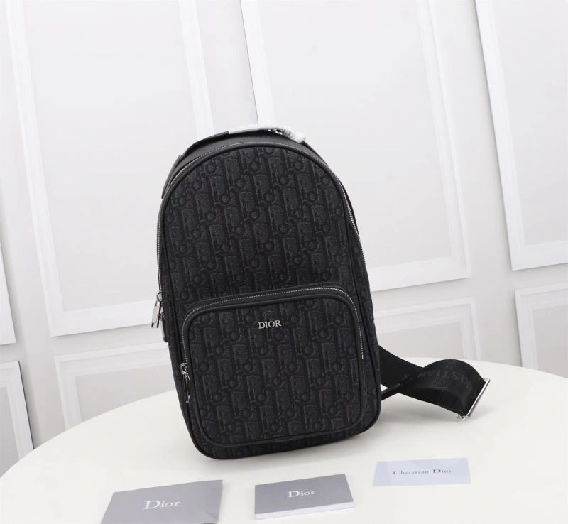 Christian Dior Waist Chest Packs