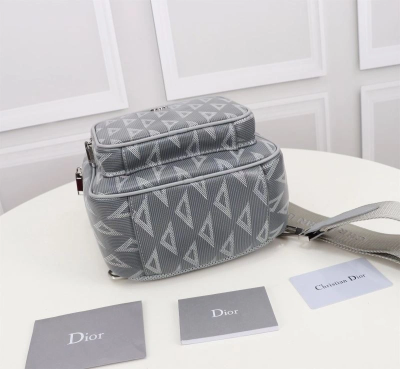 Low-cost Christian Dior Waist Chest Packs
