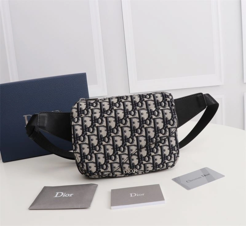 Christian Dior Waist Chest Packs
