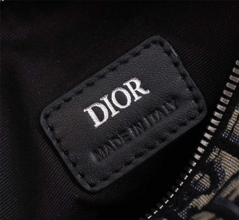 Authentic Christian Dior Waist Chest Packs