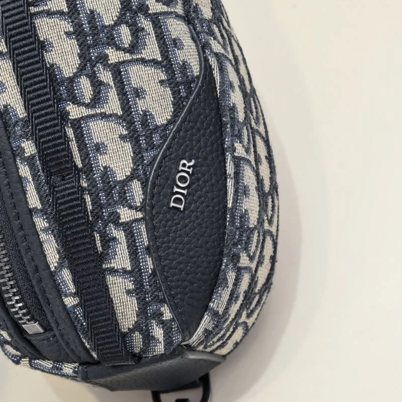 Low-cost Christian Dior Waist Chest Packs