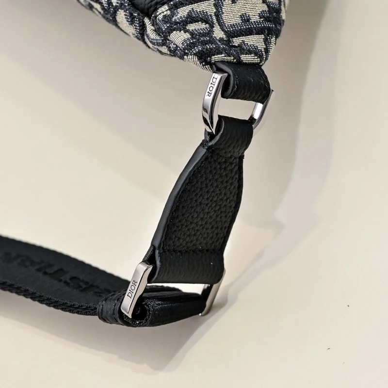 Low-cost Christian Dior Waist Chest Packs