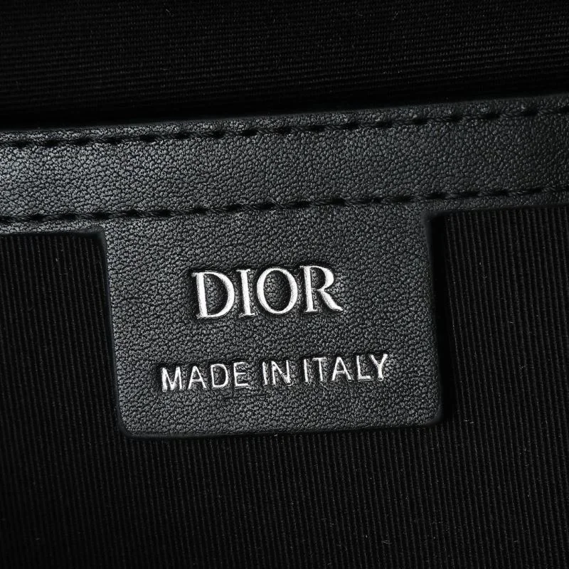 High fidelity Christian Dior Waist Chest Packs
