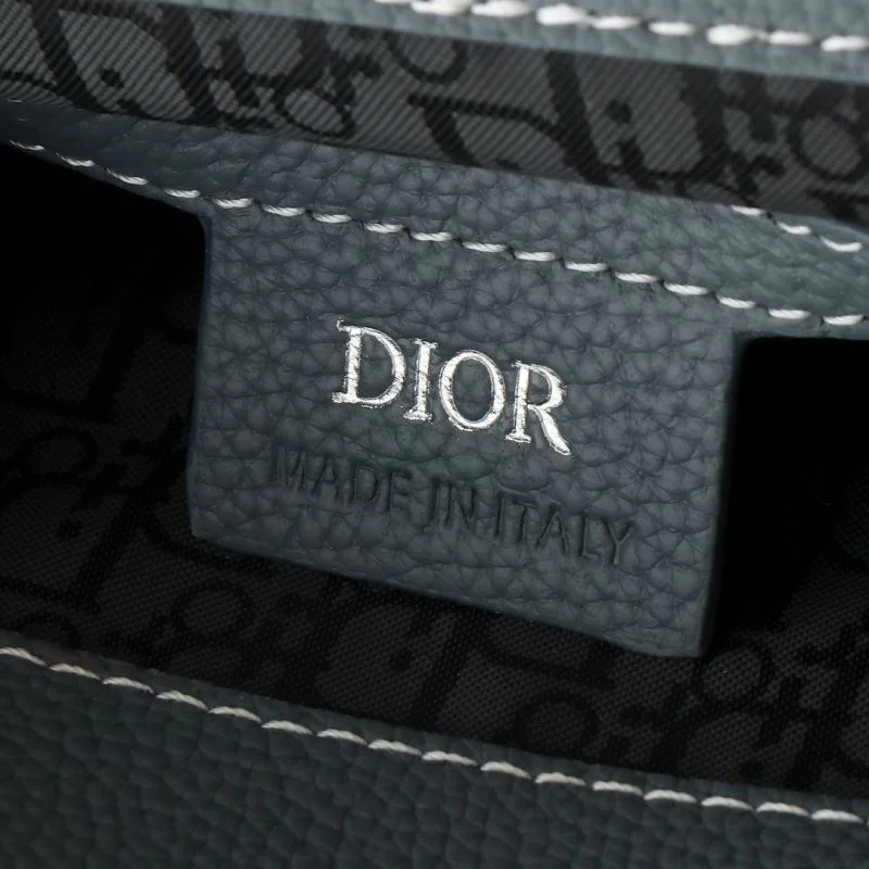 Indistinguishable Christian Dior Waist Chest Packs