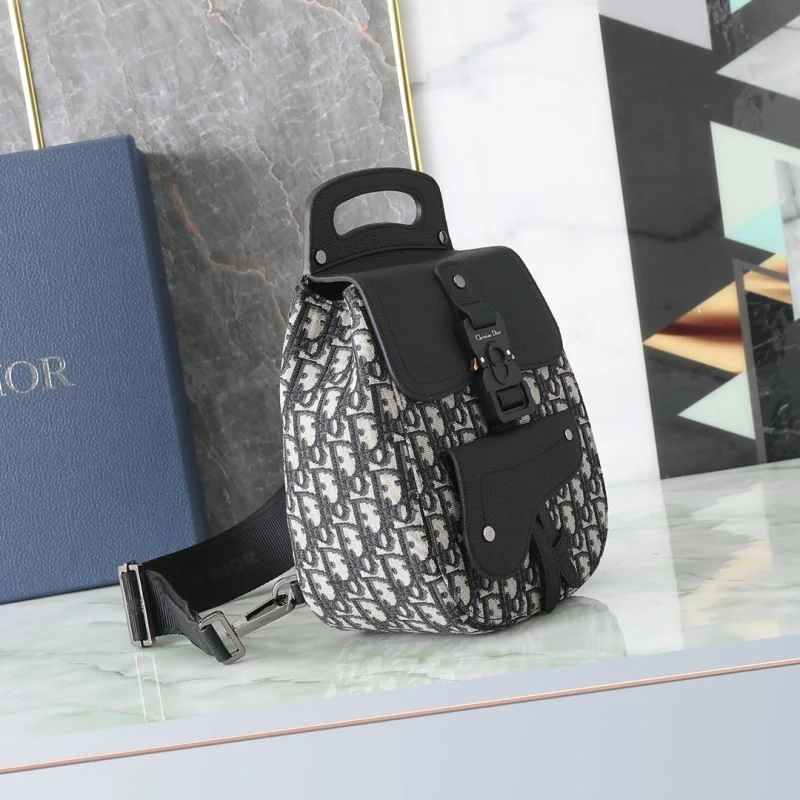 Mirror quality Christian Dior Waist Chest Packs