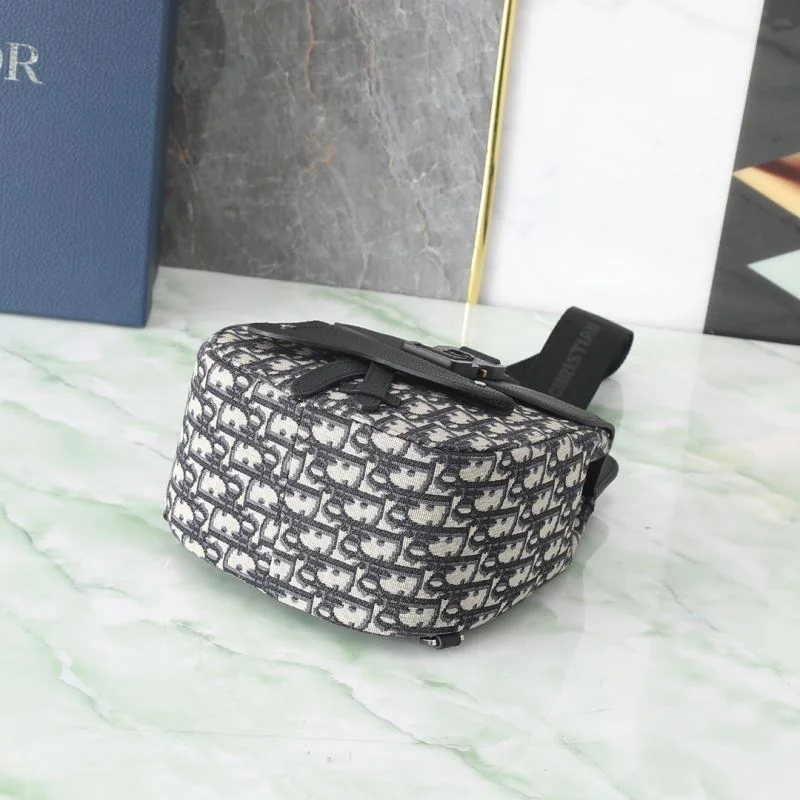 Mirror quality Christian Dior Waist Chest Packs