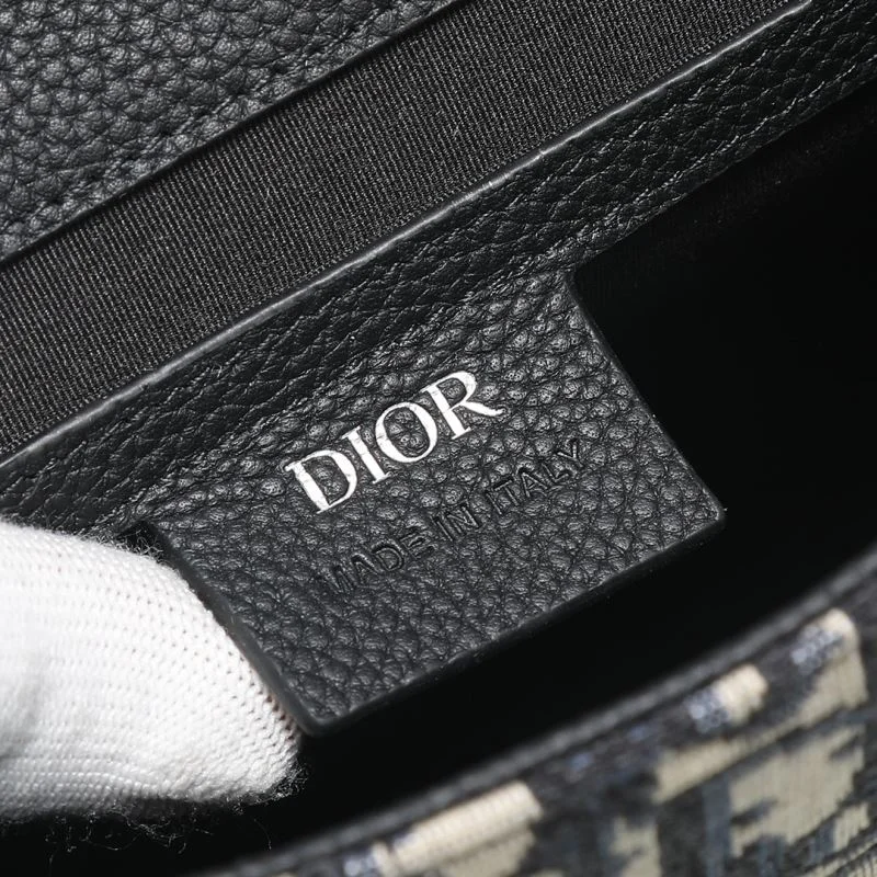 Mirror quality Christian Dior Waist Chest Packs