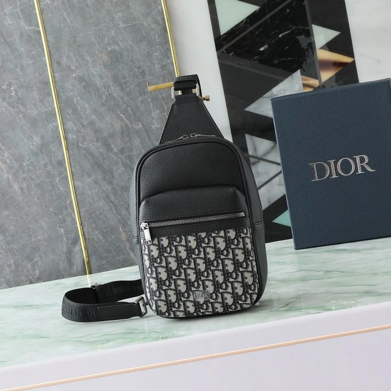 Christian Dior Waist Chest Packs