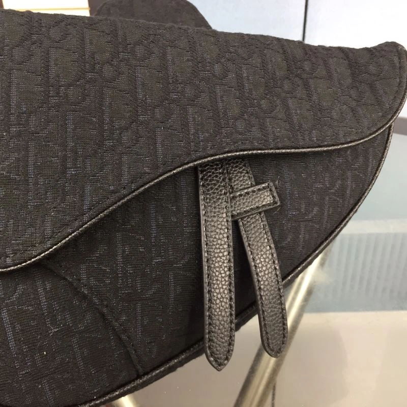 Real Christian Dior Waist Chest Packs