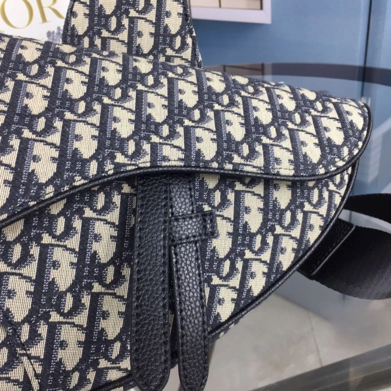 Original Christian Dior Waist Chest Packs