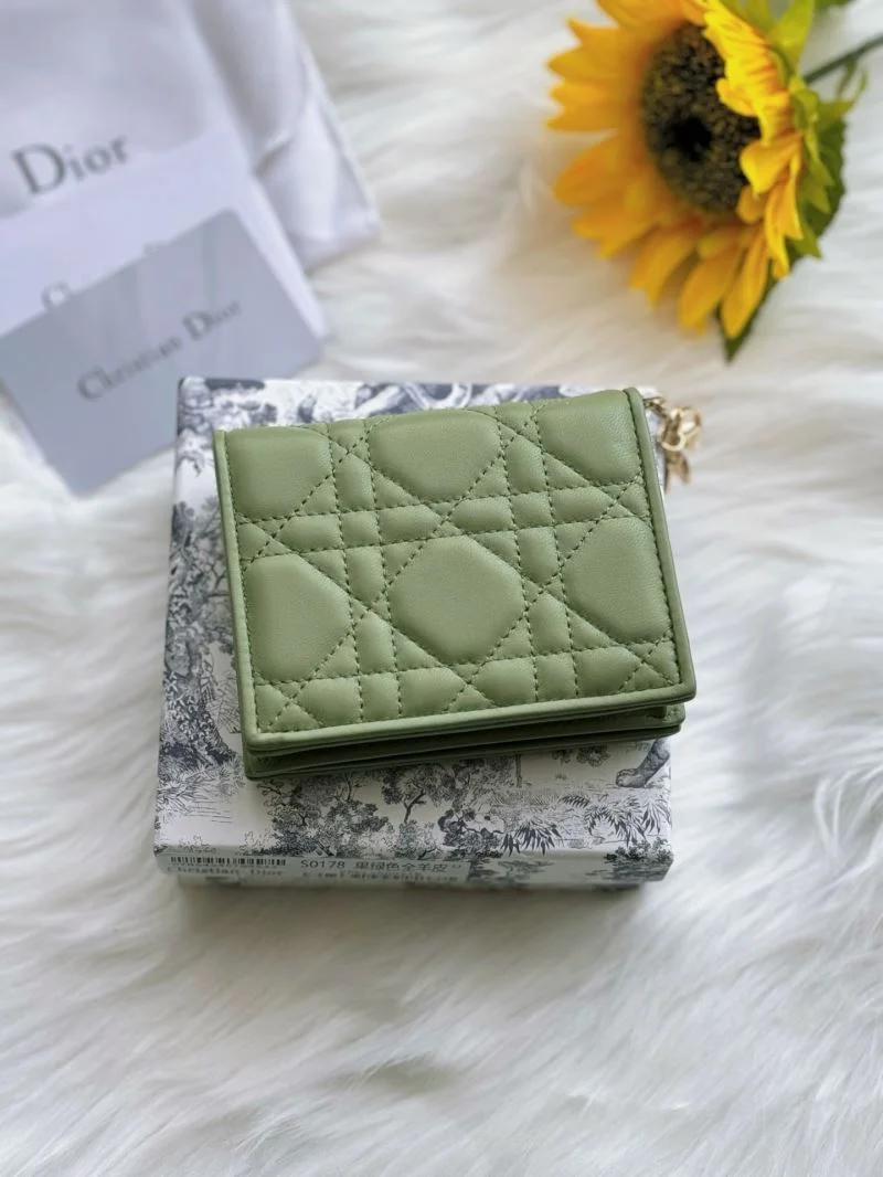 Accurate model Christian Dior Wallets Purse
