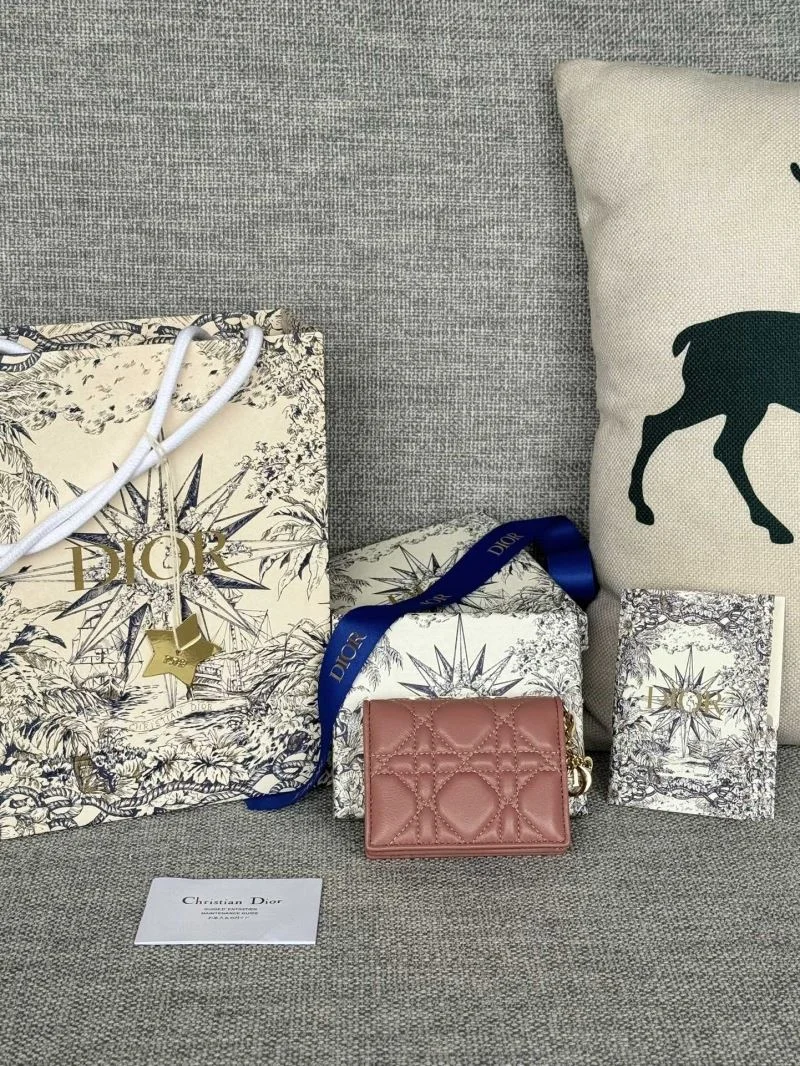 Accurate model Christian Dior Wallets Purse