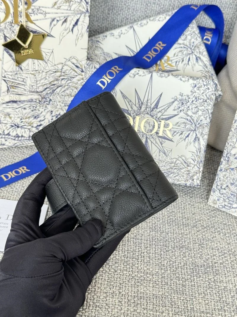 Accurate model Christian Dior Wallets Purse