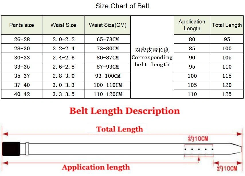 Coach Belts
