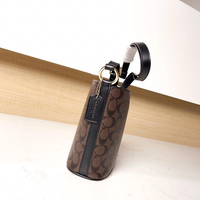 Top mirror Coach Bucket Bags