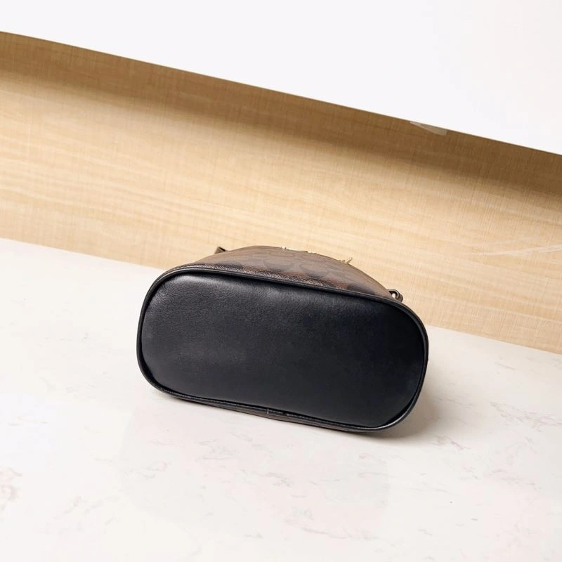 Top mirror Coach Bucket Bags